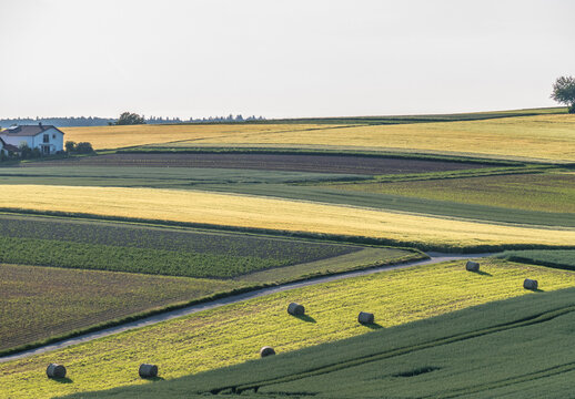 「Scheun」の写真素材 | 22件の無料イラスト画像 | Adobe Stock