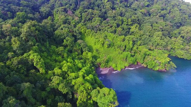 "Jungle Island" Images – Browse 194 Stock Photos, Vectors, and Video ...