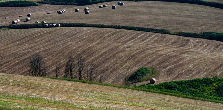 "Campo Arato" Images – Browse 210 Stock Photos, Vectors, and Video ...