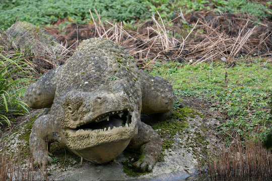 Labyrinthodontia Images – Browse 35 Stock Photos, Vectors, and Video ...