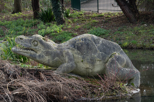 Labyrinthodontia Bilder – Durchsuchen 36 Archivfotos, Vektorgrafiken ...