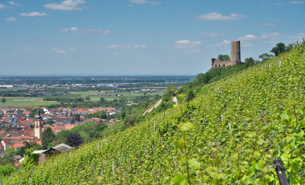 Schriesheim-Bilder: Stock-Fotos & -Videos. | Adobe Stock