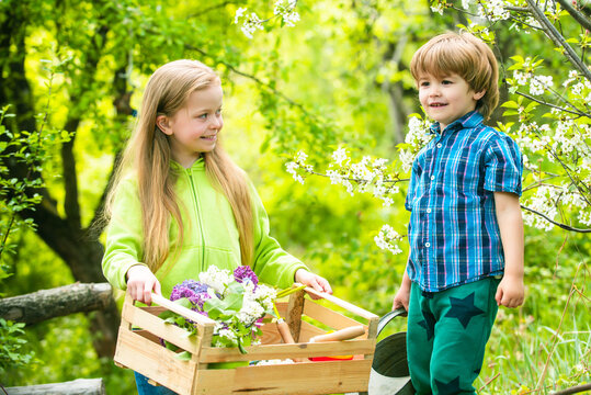 Spuddle Images – Browse 50 Stock Photos, Vectors, and Video | Adobe Stock