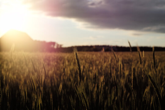 รูปภาพMidsommer – เลือกดูภาพถ่ายสต็อก เวกเตอร์ และวิดีโอ310 | Adobe Stock