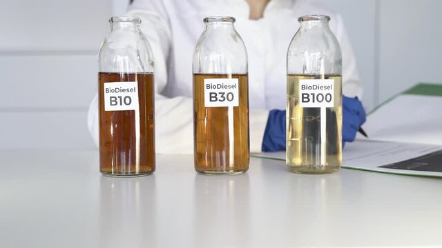 รูปภาพB10 – เลือกดูภาพถ่ายสต็อก เวกเตอร์ และวิดีโอ325 | Adobe Stock