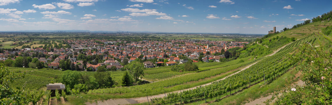 Schriesheim-Bilder: Stock-Fotos & -Videos. | Adobe Stock