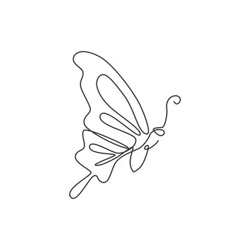 Butterfly Line Drawing Images – Browse 36,438 Stock Photos, Vectors ...