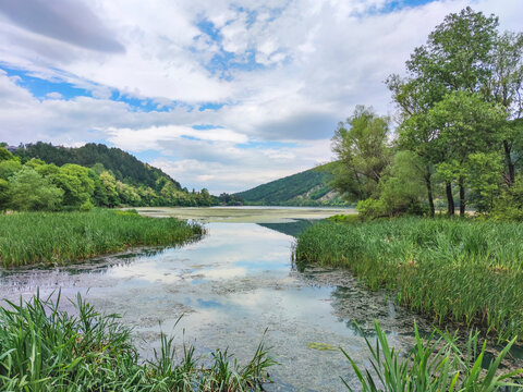 รูปภาพLozen – เลือกดูภาพถ่ายสต็อก เวกเตอร์ และวิดีโอ1,572 | Adobe Stock