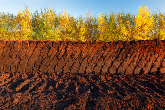 Torf Bilder – Durchsuchen 51,657 Archivfotos, Vektorgrafiken und Videos ...