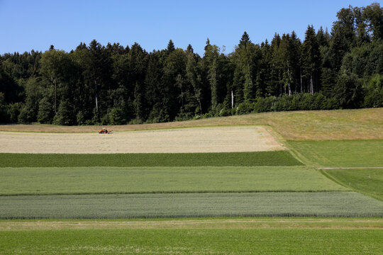 Heuen Bilder – Durchsuchen 220 Archivfotos, Vektorgrafiken und Videos ...