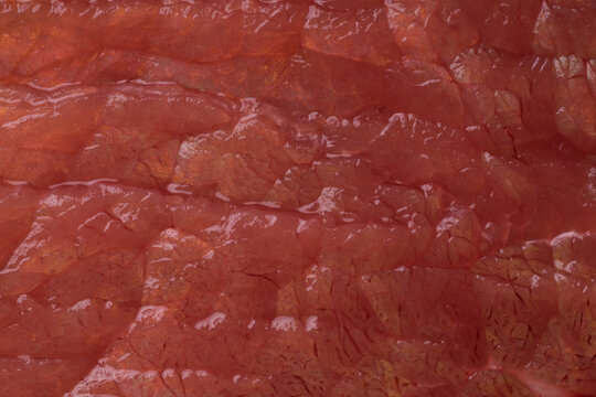 「Flesh Texture」の写真素材 | 18,759件の無料イラスト画像 | Adobe Stock