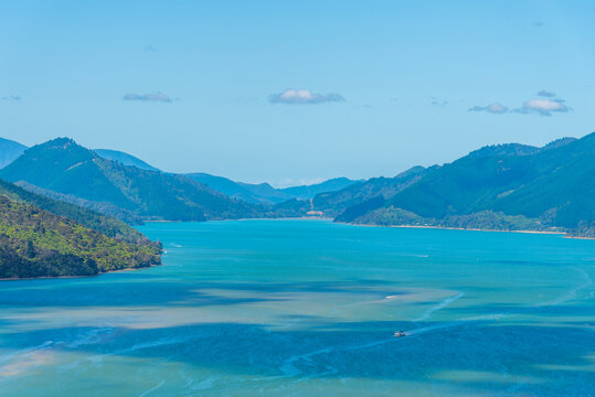 รูปภาพPelorus – เลือกดูภาพถ่ายสต็อก เวกเตอร์ และวิดีโอ273 | Adobe Stock