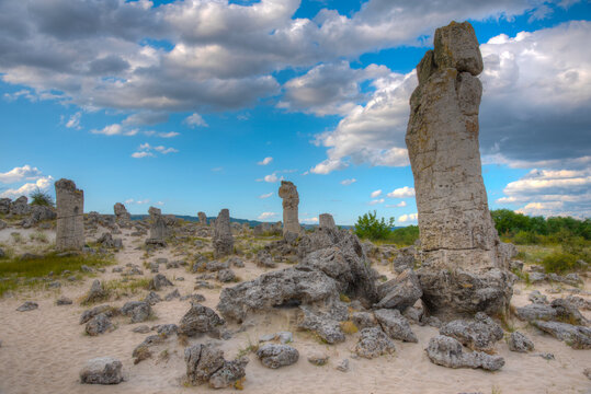 「Kamani」の画像 - 1,475 件の Stock 写真、ベクターおよびビデオ | Adobe Stock