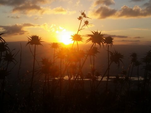 Sunrize Images – Browse 1,153 Stock Photos, Vectors, and Video | Adobe ...