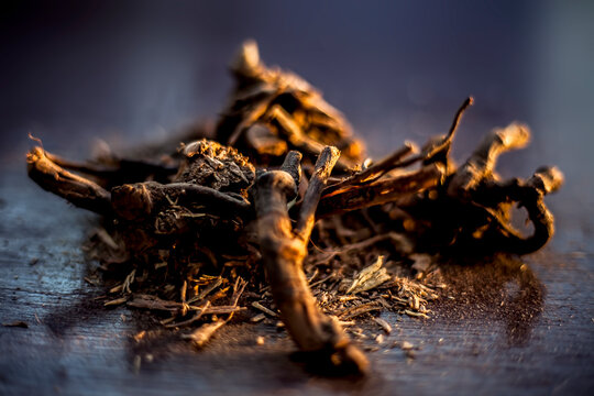 Pithi Images – Browse 49 Stock Photos, Vectors, and Video | Adobe Stock