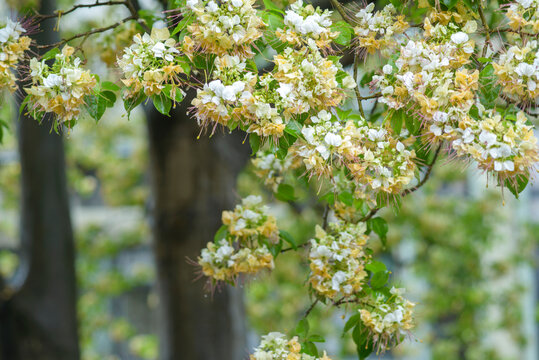 รูปภาพCrateva – เลือกดูภาพถ่ายสต็อก เวกเตอร์ และวิดีโอ198 | Adobe Stock