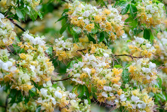 รูปภาพCrateva – เลือกดูภาพถ่ายสต็อก เวกเตอร์ และวิดีโอ198 | Adobe Stock