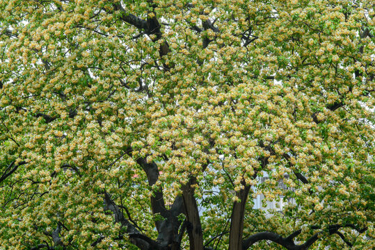 รูปภาพCrateva – เลือกดูภาพถ่ายสต็อก เวกเตอร์ และวิดีโอ198 | Adobe Stock