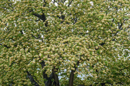 รูปภาพCrateva – เลือกดูภาพถ่ายสต็อก เวกเตอร์ และวิดีโอ198 | Adobe Stock