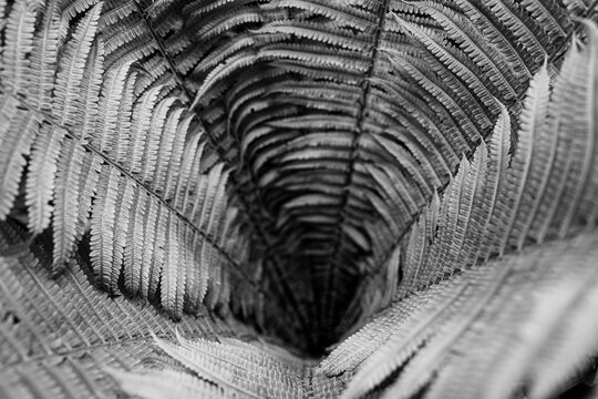 Syn bilder – Bläddra bland 4,342 stockfoton, vektorer och videor ...