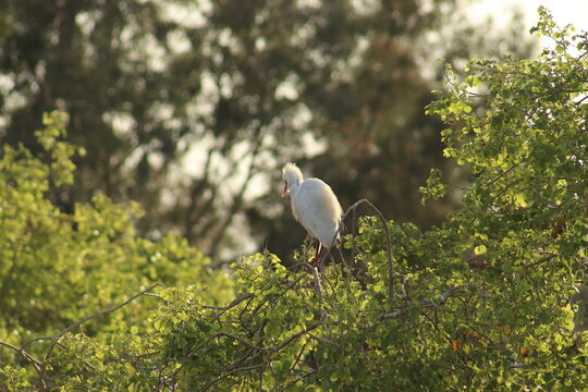 Erget Bilder – Durchsuchen 113 Archivfotos, Vektorgrafiken und Videos ...