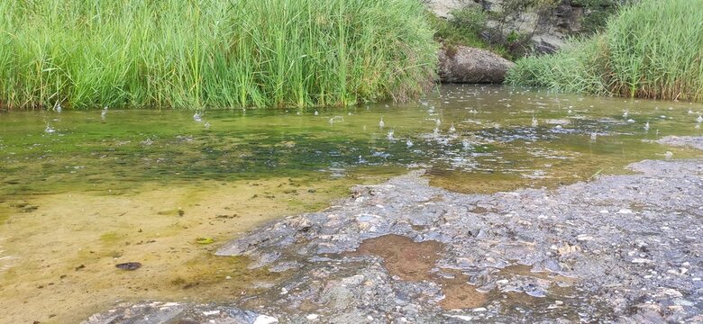 รูปภาพArroyo – เลือกดูภาพถ่ายสต็อก เวกเตอร์ และวิดีโอ60,197 | Adobe Stock