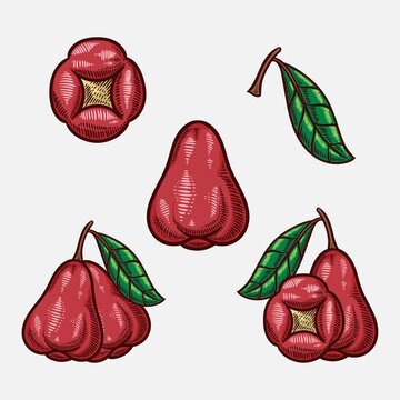 Jamalac Images – Browse 2,432 Stock Photos, Vectors, and Video | Adobe ...