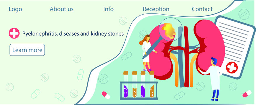 120 BEST Nephroptosis IMAGES, STOCK PHOTOS & VECTORS | Adobe Stock