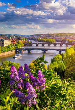 "Prague Spring" Images – Browse 83 Stock Photos, Vectors, and Video ...