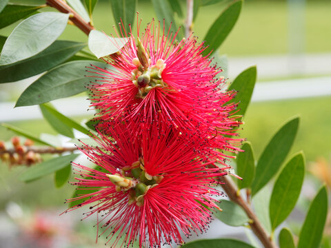 รูปภาพAspersorium – เลือกดูภาพถ่ายสต็อก เวกเตอร์ และวิดีโอ726 | Adobe Stock