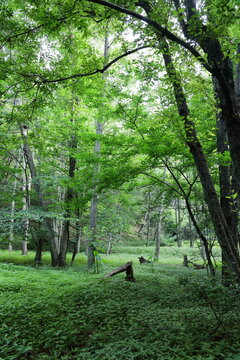 Menader bilder – Bläddra bland 3,594 stockfoton, vektorer och videor ...