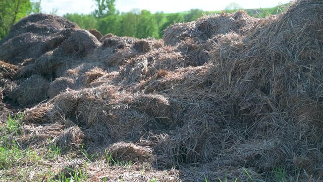 "Dung Heap"-Bilder: Stock-Fotos & -Videos. | Adobe Stock