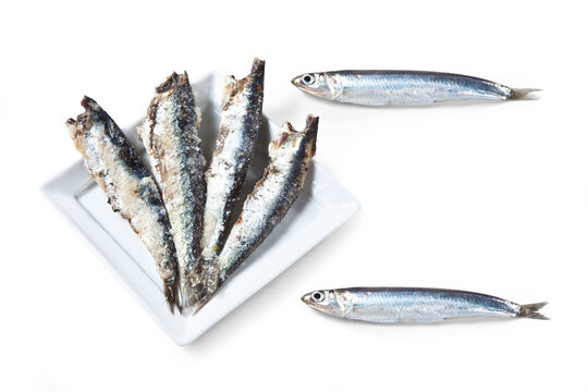 รูปภาพAcciuga – เลือกดูภาพถ่ายสต็อก เวกเตอร์ และวิดีโอ934 | Adobe Stock