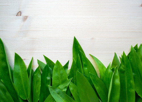 Kurrat bilder – Bläddra bland 2,816 stockfoton, vektorer och videor ...