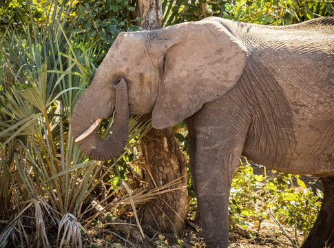 รูปภาพHauer – เลือกดูภาพถ่ายสต็อก เวกเตอร์ และวิดีโอ6,146 | Adobe Stock