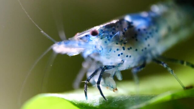 Kanc-Bilder: Stock-Fotos & -Videos. | Adobe Stock