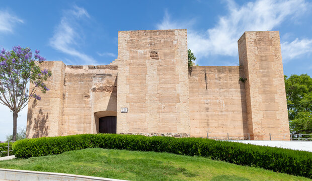 Zuniga Images – Browse 45 Stock Photos, Vectors, and Video | Adobe Stock