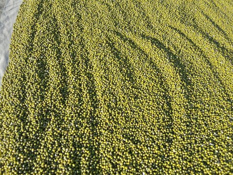 「Ield」の画像 - 1,880 件の Stock 写真、ベクターおよびビデオ | Adobe Stock