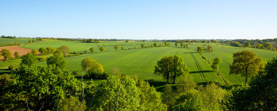 Imagens de Bocage – Explore Fotografias do Stock, Vetores e Vídeos de ...
