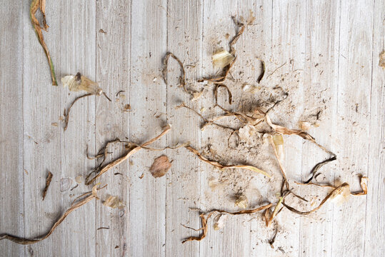 Disarranged Bilder – Durchsuchen 731 Archivfotos, Vektorgrafiken und ...