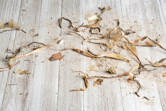 Disarranged Billeder – Gennemse 731 stockfotos, vektorer og videoer ...