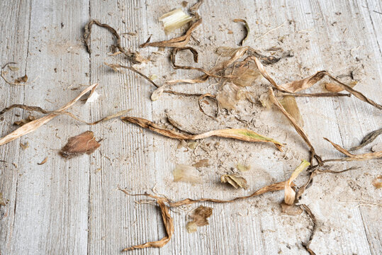 Disarranged Bilder – Durchsuchen 728 Archivfotos, Vektorgrafiken und ...