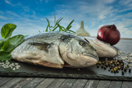 Sauren Images – Browse 49 Stock Photos, Vectors, and Video | Adobe Stock