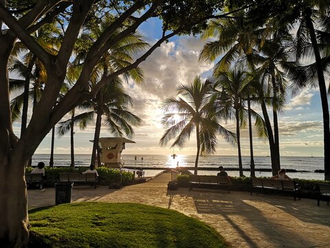 รูปภาพ"Waikiki Beach" – เลือกดูภาพถ่ายสต็อก เวกเตอร์ และวิดีโอ2,262 ...