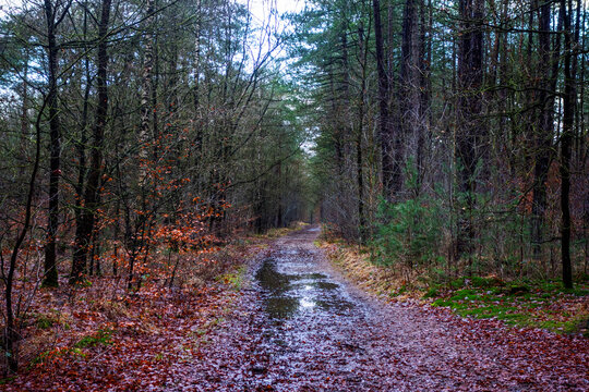 Soesterberg Images – Browse 49 Stock Photos, Vectors, and Video | Adobe ...