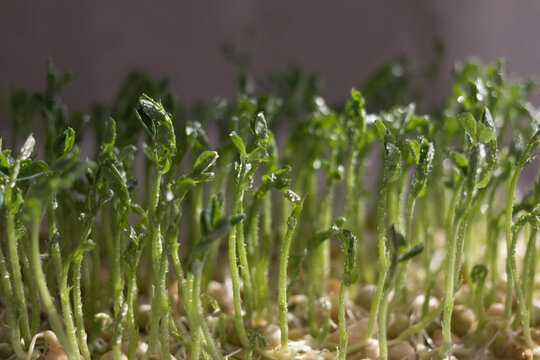 AnnyStudio photos, images, assets | Adobe Stock