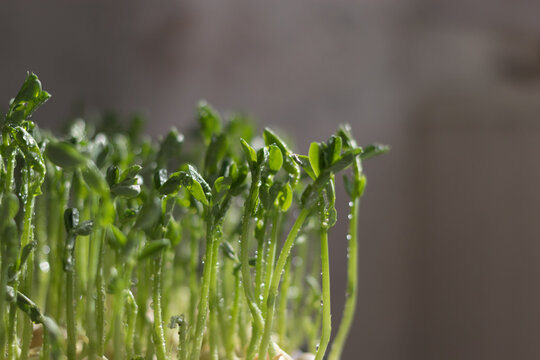 AnnyStudio photos, images, assets | Adobe Stock