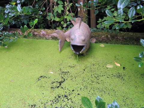 Posson Images – Browse 12 Stock Photos, Vectors, and Video | Adobe Stock