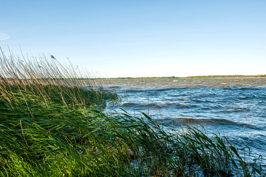 Wedeln Bilder – Durchsuchen 12,082 Archivfotos, Vektorgrafiken und ...