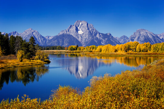 Oxbow Lake